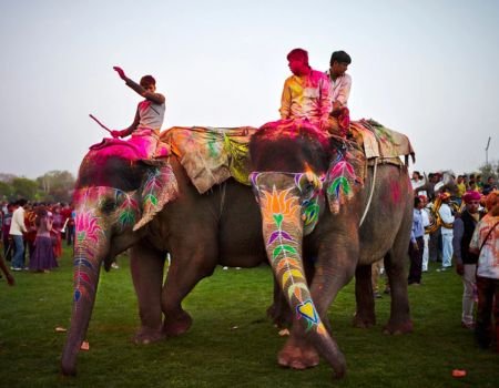 Elephant Festival in India - Cultural India Tours